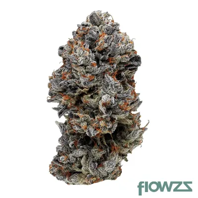 Slouu 33/1 COZ CA Cookies OZ zum besten Preis