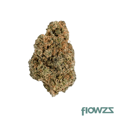 Nimbus Easy 26/1 Wavedaze zum besten Preis