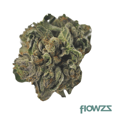 Tilray THC 25 Spotlight Porto Purps zum besten Preis