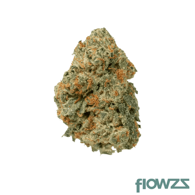Medical Saints 21/1 LEM Lemonatti zum besten Preis